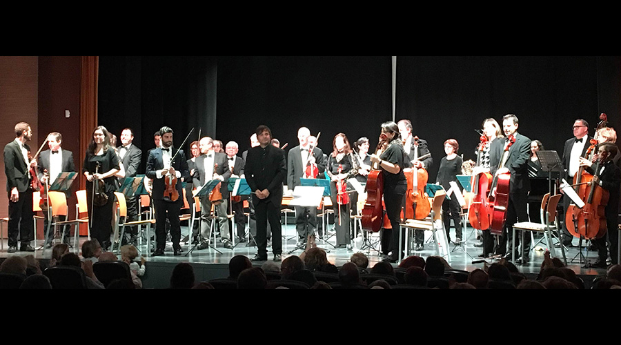 La Orquesta amateur Celeste Classic selecciona violines - Deviolines