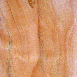 Las maderas de un violín - Deviolines